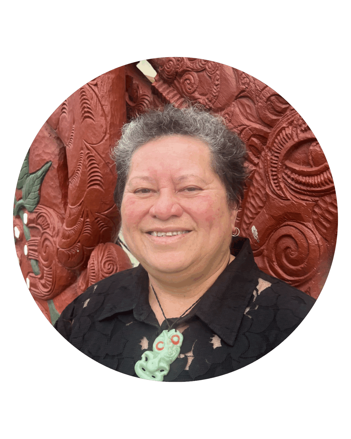 ABOUT – Te Kapu o Waitaha